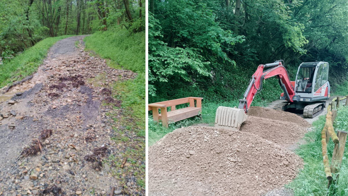 Biella, il sentiero del Bellone si rinnova: presto sarà percorribile ...