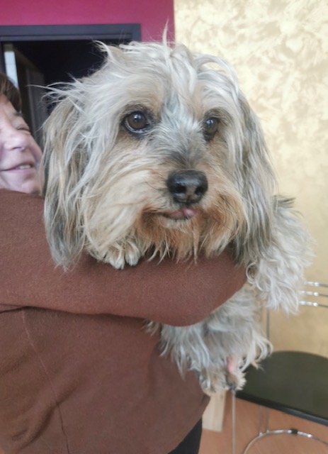 Dal Nord Ovest - Il racconto di una donna: "Ginger, finita in un ...