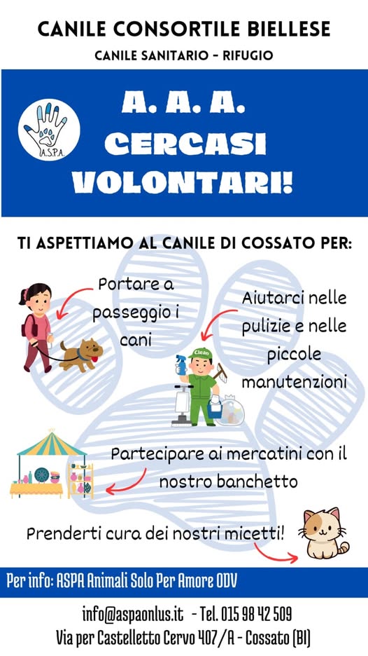Il canile di Cossato cerca volontari - Newsbiella.it