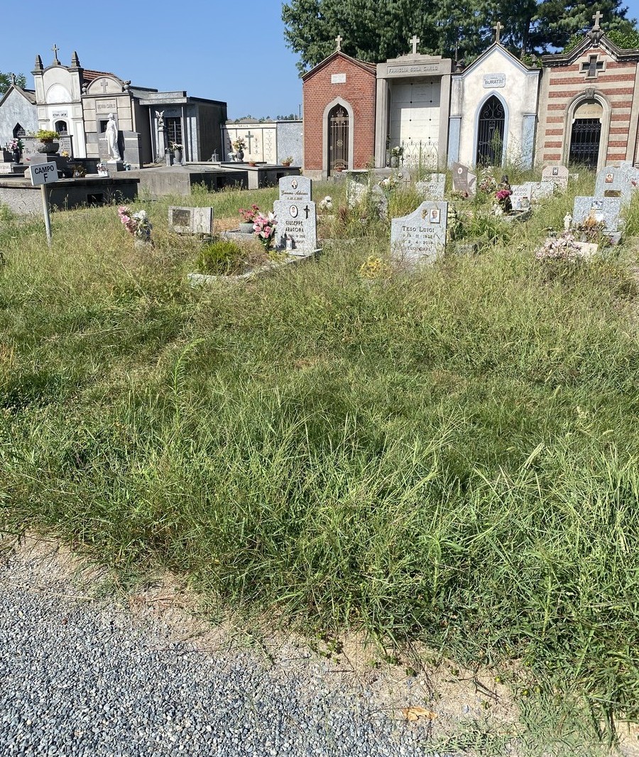 Chiavazza, un lettore: "Cimitero abbandonato" - Newsbiella.it