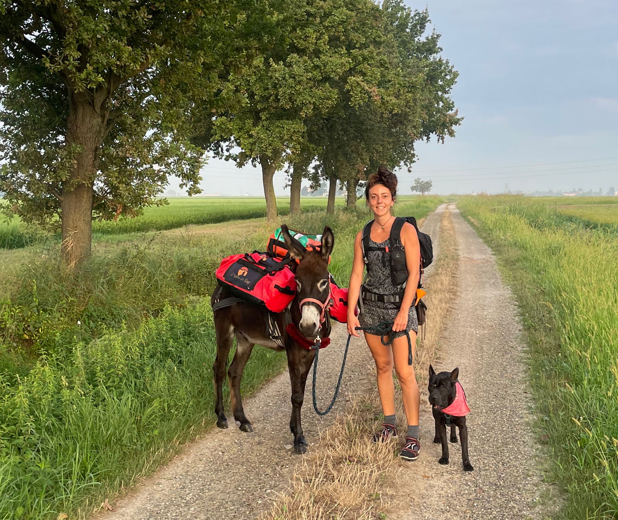 A piedi lungo la via Francigena con l'asino e il cane, tappa a Viverone ...
