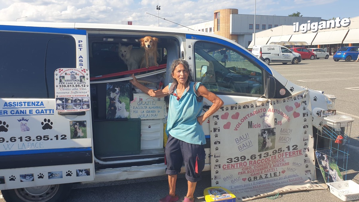 Micio Rey, il progetto di Maria Rizzo in soccorso degli animali ...