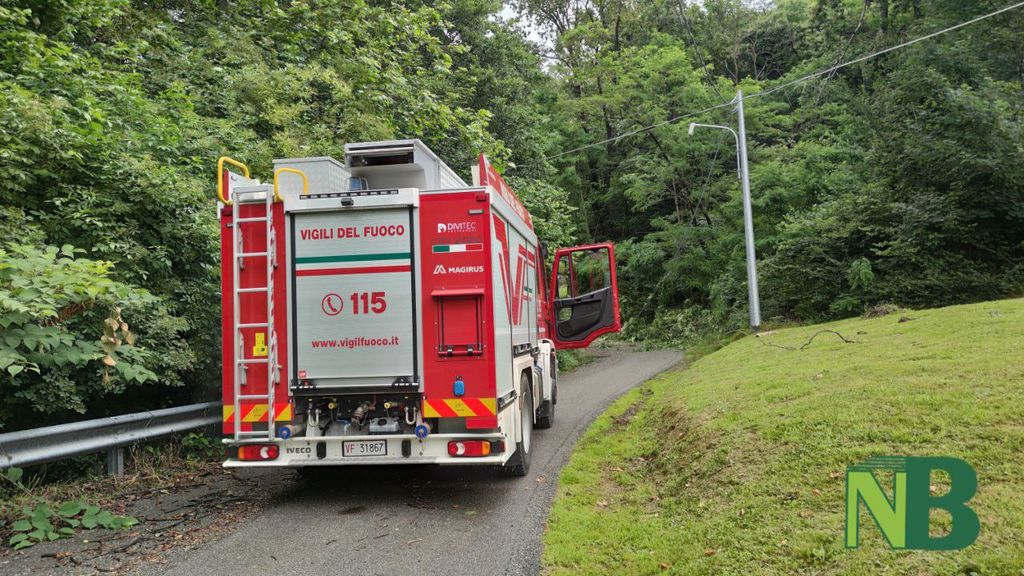 Raffiche di vento nel Biellese, piante a terra nella notte: oltre 15 ...