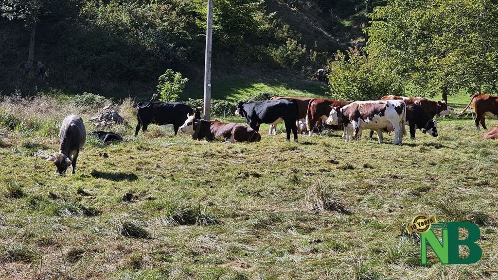Biellese da scoprire, località Asmara in Valle Cervo: da qui molte ...