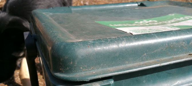 Viverone: Riprende il bidone dell'umido e trova un cane morto all ...